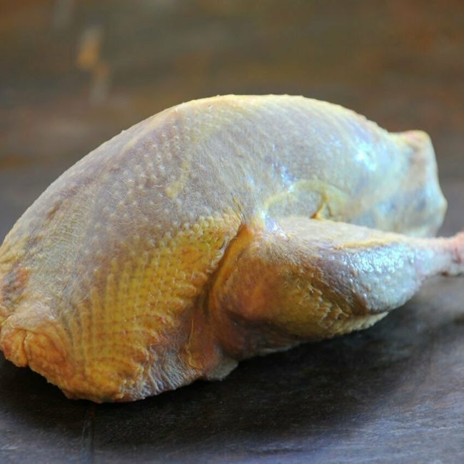 Turtle Meat - 1 LB - Wild Game Meat